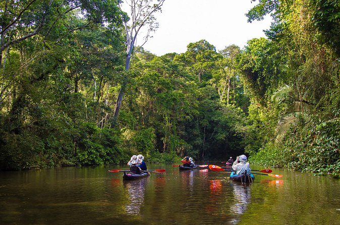 Kayak Adventure on the Roseau River in St Lucia - Frequently Asked Questions (FAQs)