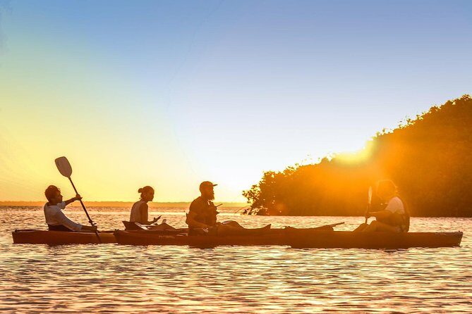 Kayak adventure through Laguna Nichupté in Cancun - An In-Depth Look at the Kayak Tour in Laguna Nichupté
