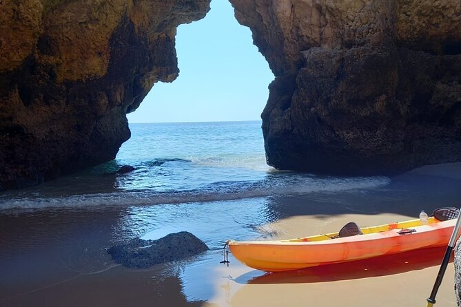 Kayak Adventure Through the Ponta Da Piedade Caves in Lagos - Highlights of the Experience