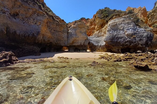 Kayak Adventure Through the Ponta Da Piedade Caves in Lagos - Positive Traveler Feedback