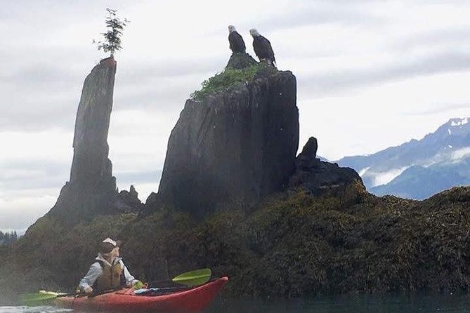 Kayak and Hike to Historic WW2 Army Fort in Alaska! - Customer Experiences and Testimonials