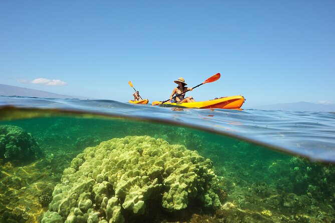 Kayak and Snorkel: Maui West Shore - Snorkeling Experiences
