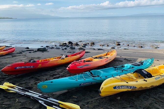 Kayak and Snorkel: Maui West Shore - Refreshments and Amenities