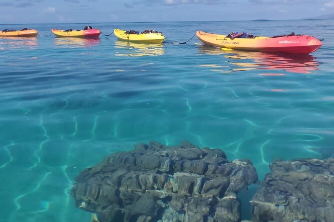Kayak and Snorkel: Maui West Shore - Customer Feedback and Recommendations