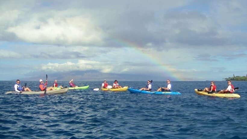 Kayak and Snorkel West Maui at Olowalu - A Close Look at the Olowalu Kayaking and Snorkeling Adventure