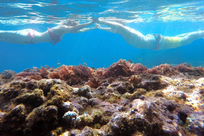 Kayak and Snorkeling Tour in Underwater Nature Reserve Garajau - Snorkeling in Vibrant Marine Waters