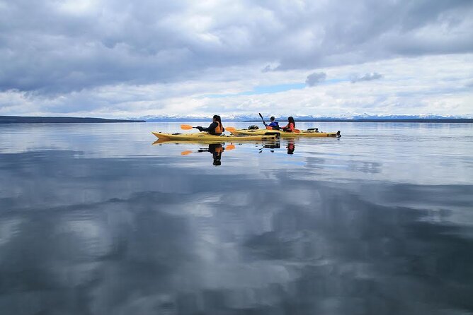 Kayak Day Paddle on Yellowstone Lake - Pricing and Overall Value