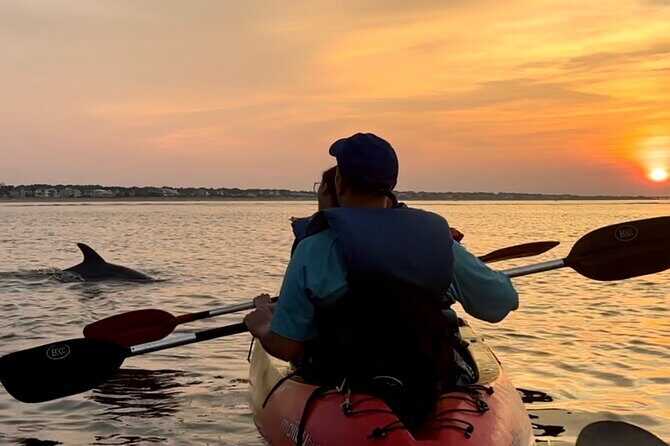 Kayak Dolphin Experience in Virginia Beach Must know how to swim - An In-Depth Look at the Virginia Beach Kayak Dolphin Tour