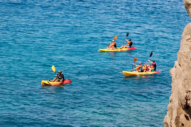 Kayak Excursion to Papagayo - Pricing and Inclusions