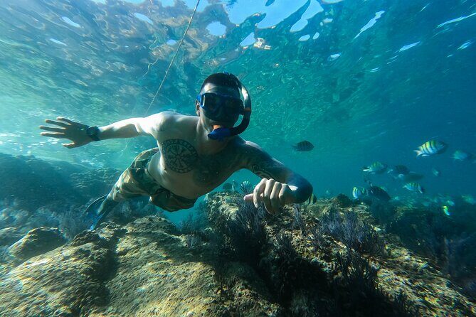 Kayak Expedition to the Arch of Cabo San Lucas, Lovers Beach & Snorkel - FAQ