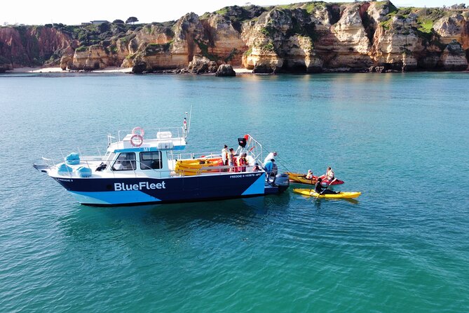 Kayak Experience in Ponta Da Piedade Review - Health and Accessibility Information