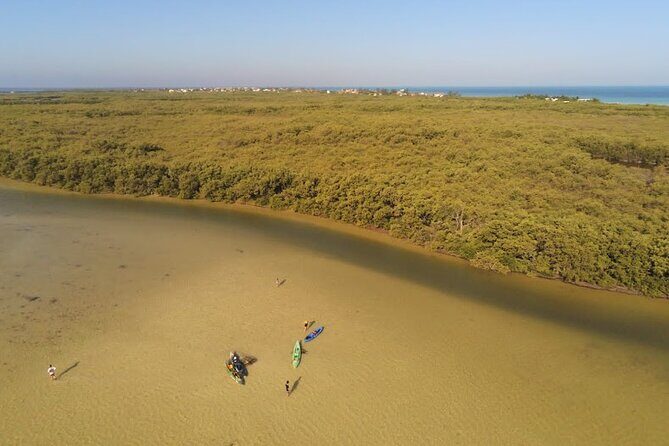 Kayak Experience in the Mangroves of Holbox Island - Authentic Traveler Insights