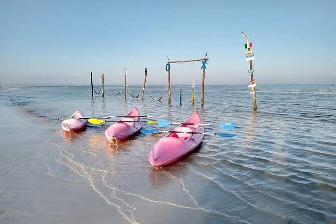 Kayak Experience in the Mangroves of Holbox Island - The Sum Up