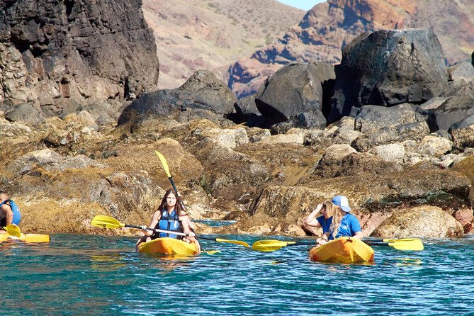 Kayak Experience @ Ponta De São Lourenço - Snorkeling and Swimming Opportunities