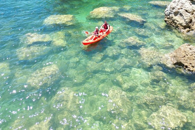 Kayak Experience With a Local - Key Points