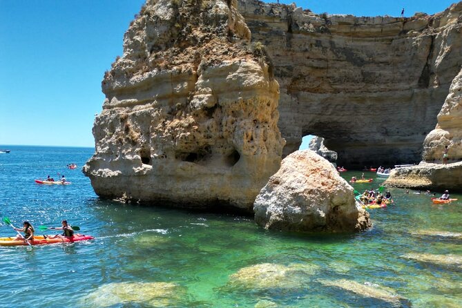 Kayak Experience With a Local - Highlights From Customer Reviews