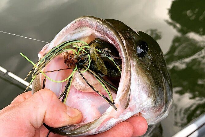 Kayak fishing guides and scenic paddle tours - The Sum Up