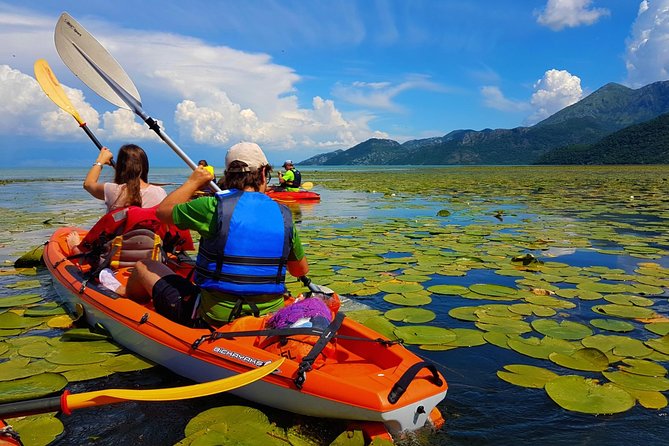 Kayak Guided Tour Skadar lake - Adventure in National park - Exploring Skadar Lake by Kayak: A Practical Guide to an Authentic Montenegro Experience