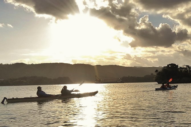 Kayak Mangroves or Coral Reef: Private Tour in North Okinawa - Customer Reviews