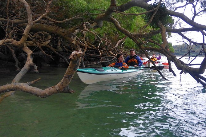 Kayak Mangroves or Coral Reef: Private Tour in North Okinawa - Exploring the Mangroves or Coral Reef