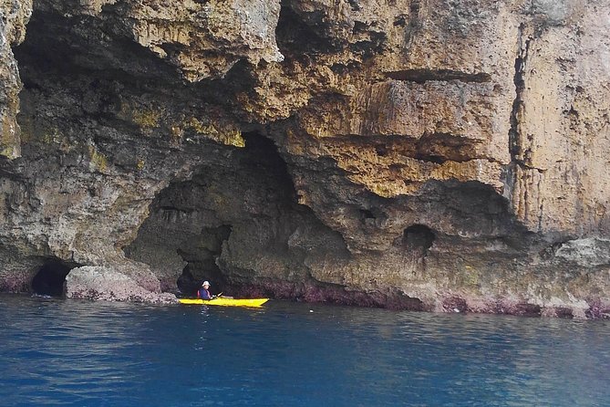 Kayak Mangroves or Coral Reef: Private Tour in North Okinawa - Personalizing Your Private Tour