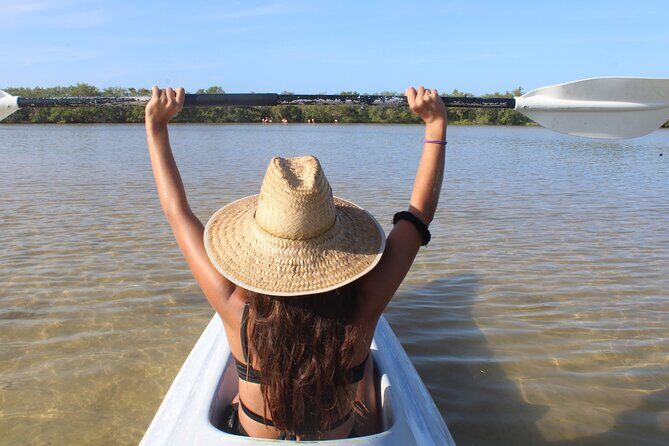 Kayak Mangroves Sunrise Experience - The Value of This Experience