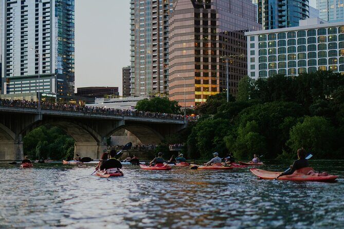 Kayak or Paddle Board Sunset Bat Tour - What the Reviews Say