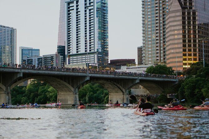 Kayak or Paddle Board Sunset Bat Tour - The Sum Up