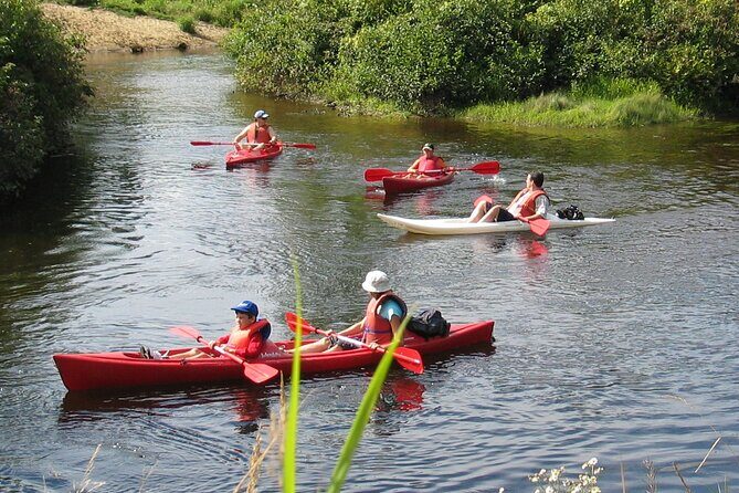 Kayak/Paddleboard Rouge River - Self Guided Descent - An Introduction to Paddling the Rouge River
