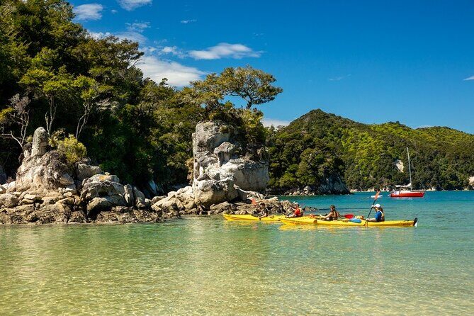 Kayak & Pitt Head Nature Loop - Guided Kayak & Unguided Walk - New Zealand - The Experience from the Travelers Perspective