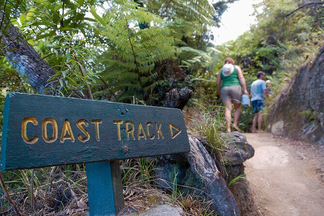 Kayak & Pitt Head Nature Loop - Guided Kayak & Unguided Walk - New Zealand - Practical Details: What You Need to Know