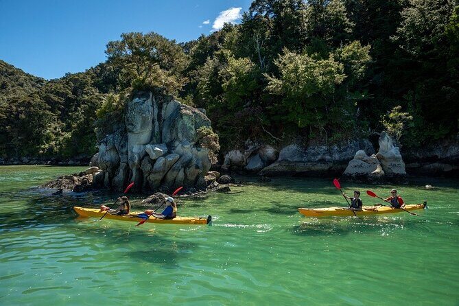 Kayak & Pitt Head Nature Loop - Guided Kayak & Unguided Walk - New Zealand - Final Thoughts: Who Will Love This Tour?