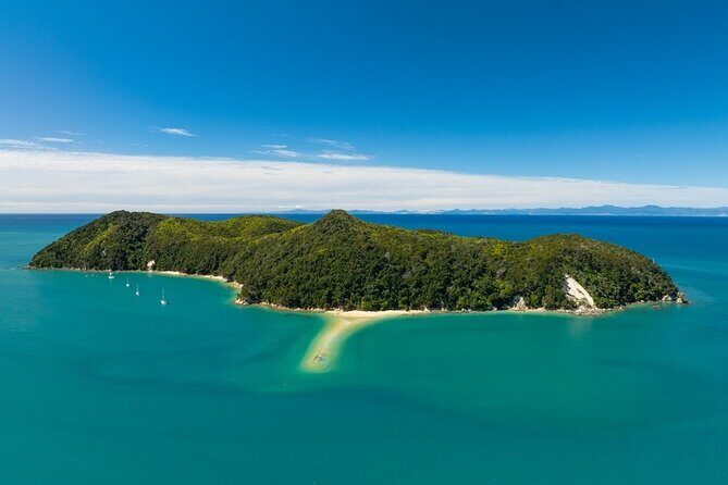 Kayak & Pitt Head Nature Loop - Guided Kayak & Unguided Walk - New Zealand - Frequently Asked Questions
