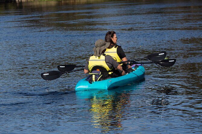 Kayak Rental (2hr) - Blue Spring State Park - What to Expect from Your Kayaking Adventure