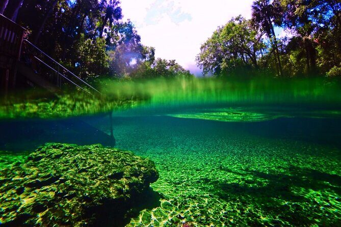 Kayak Rental (2hr) - Blue Spring State Park - Final Thoughts: Is This the Right Experience for You?