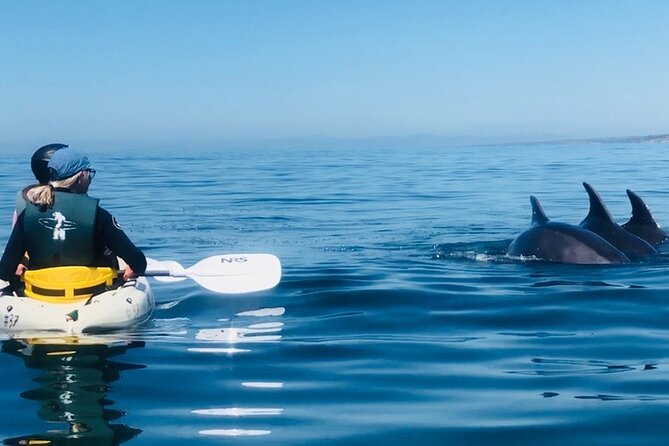 Kayak Rental for Two People in La Jolla - FAQ