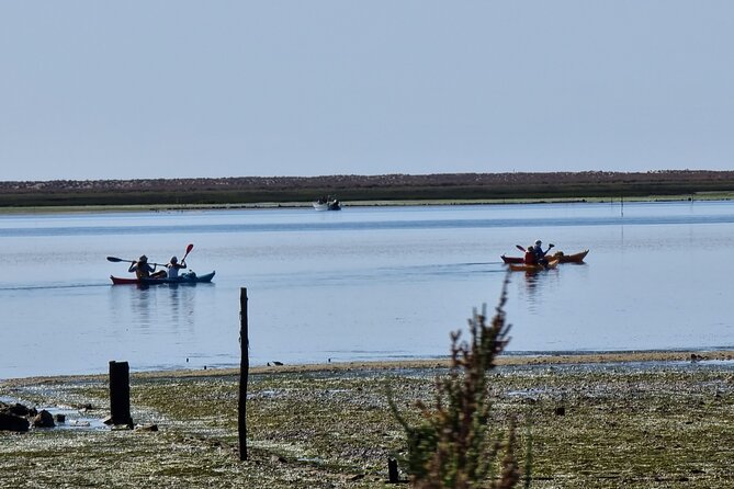 Kayak Rental in Praia dos Cavacos - Practical Details & Tips