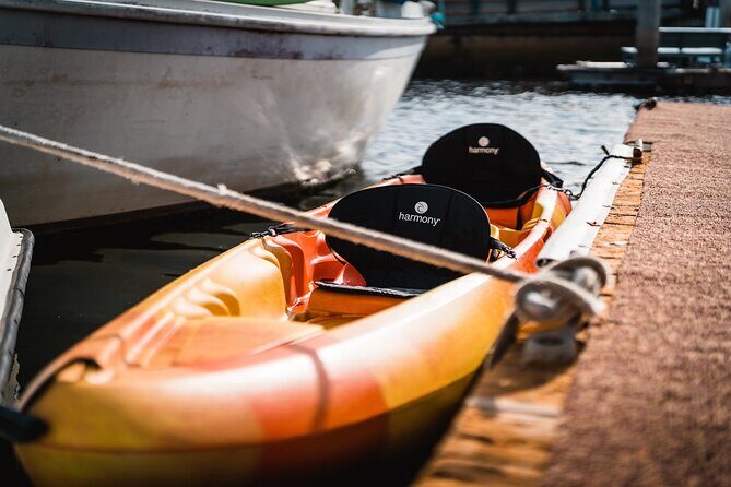 Kayak Rental in Redondo Beach, USA - Final Thoughts