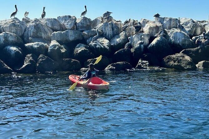 Kayak Rental in Redondo Beach, USA - FAQs