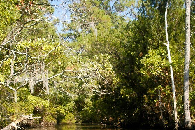 Kayak Rental on the Outer Banks - Exploring Outer Banks Kayak Rentals: An Authentic Eco-Adventure