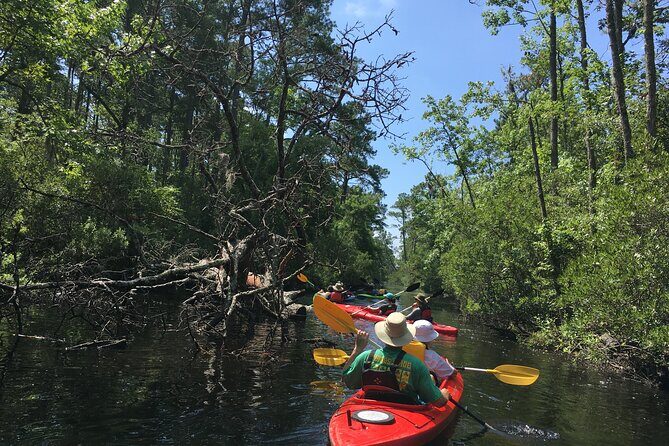 Kayak Rental on the Outer Banks - Who Should Consider This Tour?