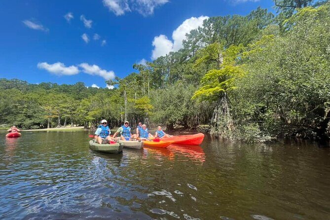 Kayak Rental on the Waccamaw River - Discovering the Waccamaw River by Kayak or Paddleboard