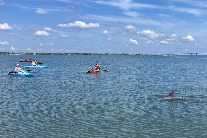 Kayak Rentals - The Value for Money and Practical Considerations