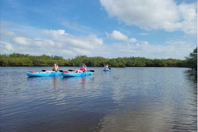 Kayak Rentals - Who Will Love This Experience?