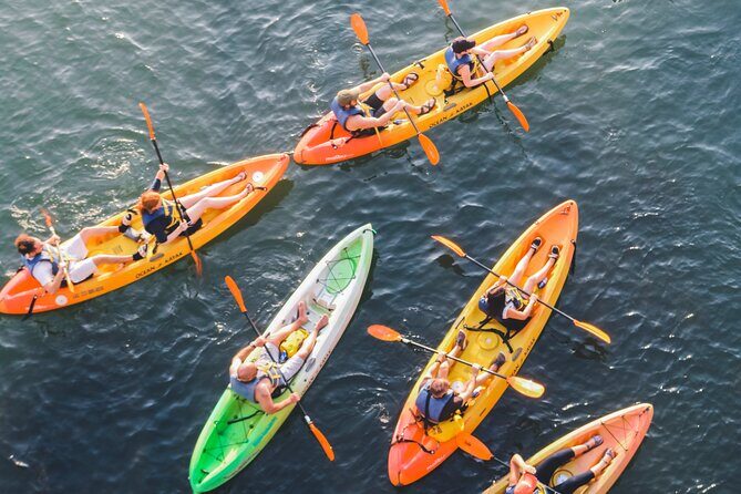 Kayak Rentals on Lady Bird Lake - A Detailed Look at Kayaking on Lady Bird Lake