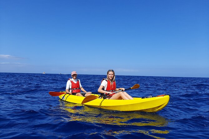 Kayak Safari with Dolphin and Turtle Watching in Guaza - Who Should Consider This Tour?