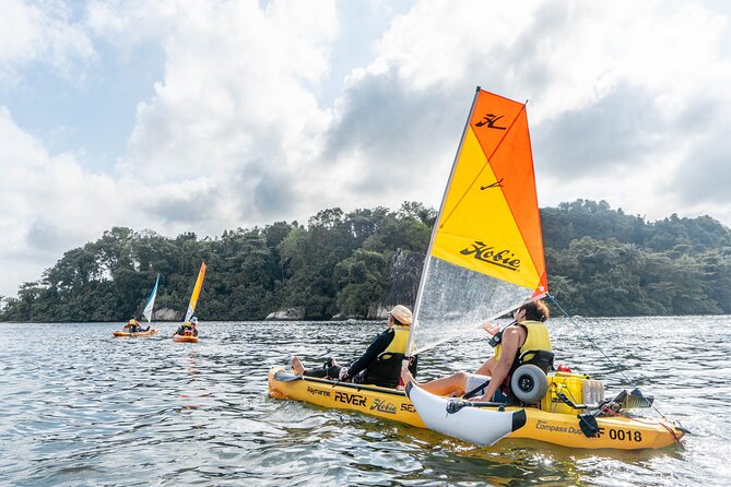 Kayak Sailing in Singapore, Mangrove, Kelong & Pulau Ubin, Seafood Meal Included - Who Should Consider This Tour?
