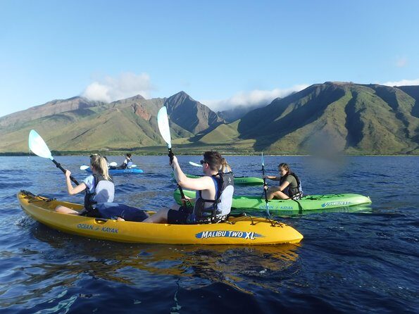 Kayak, Snorkel and Surf Package - An In-Depth Look at the Tour