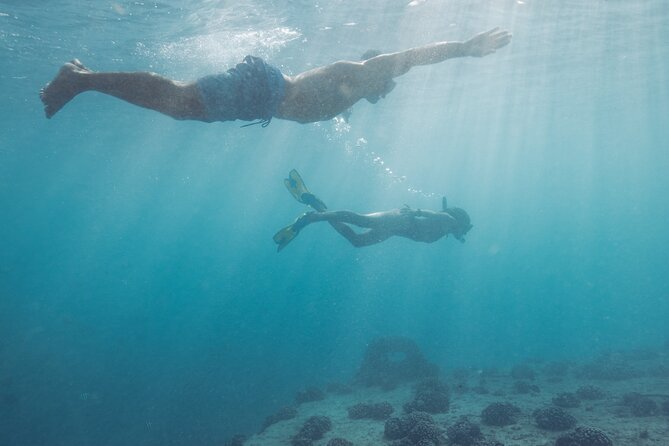 Kayak, Snorkel, and Surf With Turtles in Honolulu - Highlights of the Adventure