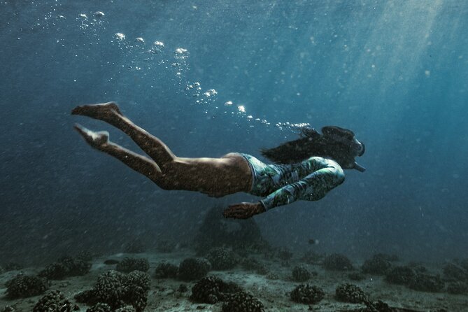 Kayak, Snorkel, and Surf With Turtles in Honolulu - Booking and Contact Information